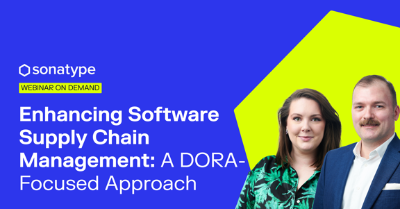 Enhancing Software Supply Chain Management: A DORA-Focused Approach