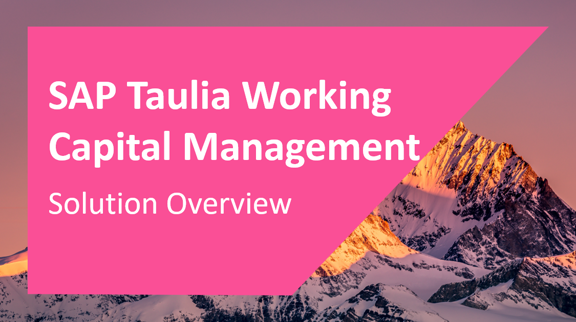 SAP Taulia Working Capital Management Solution Overview