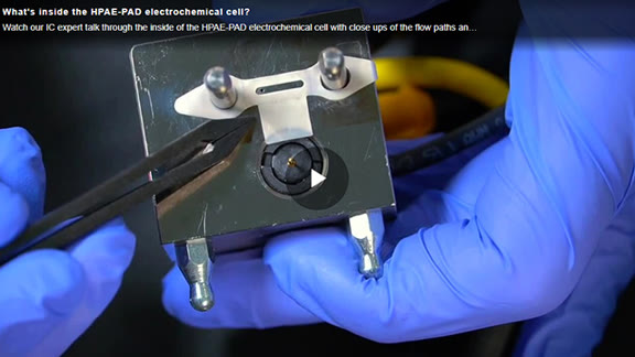 Video: Inside the HPAE-PAD cell