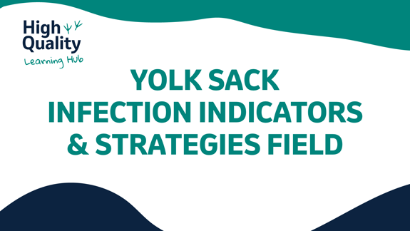 Yolksac Infection: Indicators & Strategies (Field)