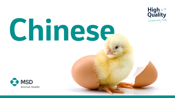 Webinar: in ovo vaccination: starting birds’ early protection from the ...