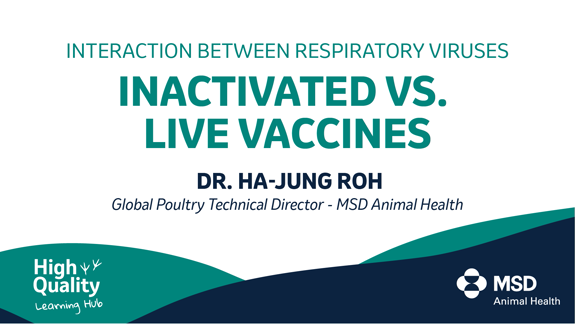 Interaction Between Respiratory Viruses: Inactivated vs. Live Vaccines