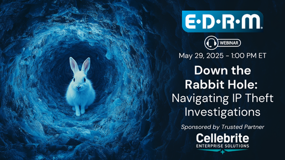 Down the Rabbit Hole: Navigating IP Theft Investigations