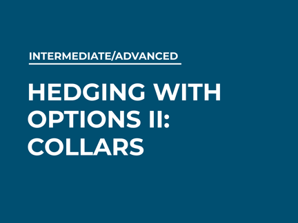Hedging With Options II: Collars