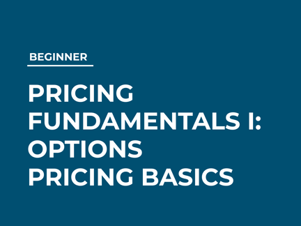 Pricing Fundamentals I: Options Pricing Basics